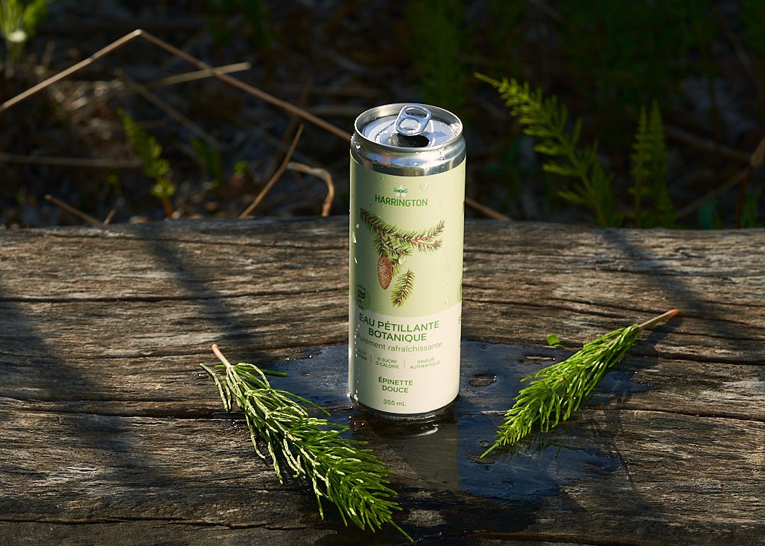 Aliment Snack - Distributeur alimentaire